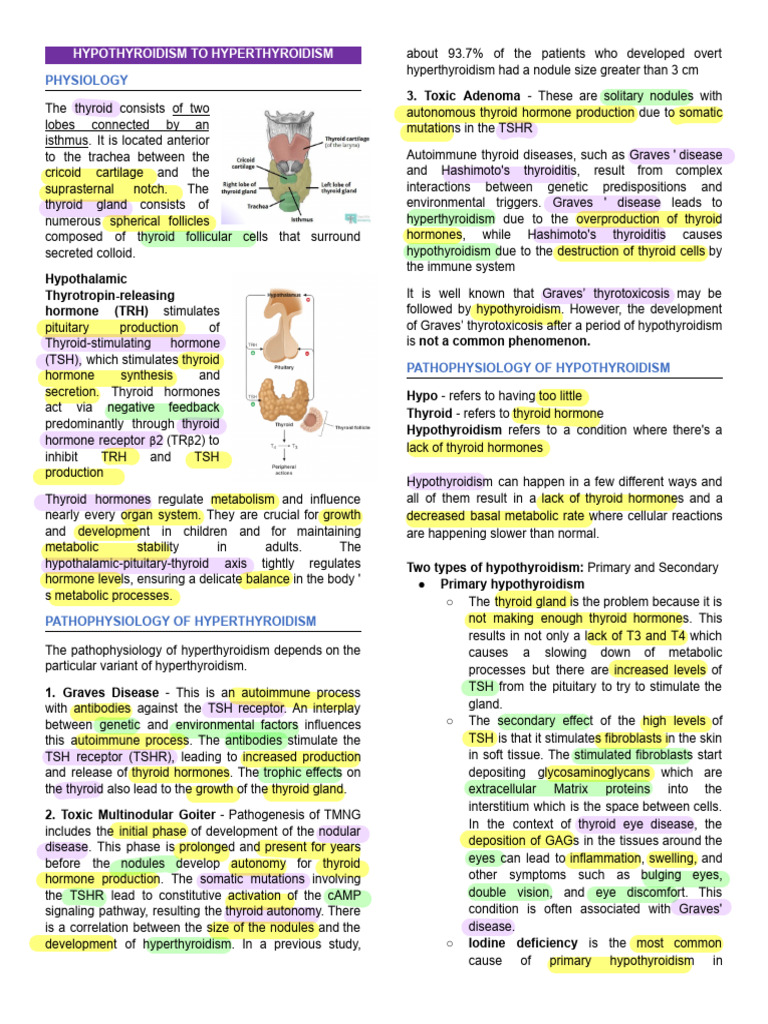 FINAL To The Highest HYPOTHYROIDISM TO HYPERTHYROIDISM | PDF | Thyroid | Thyroid Stimulating Hormone