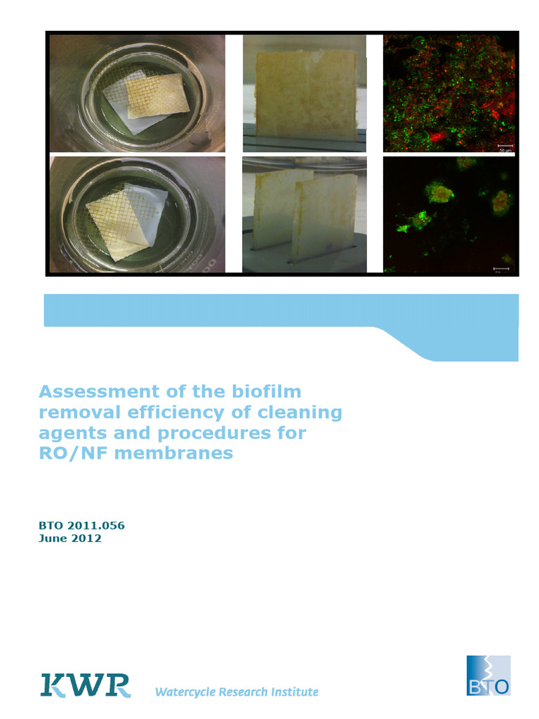 Assessment of The Biofilm Removal Efficiency of C-Hydrotheek (Stowa ...