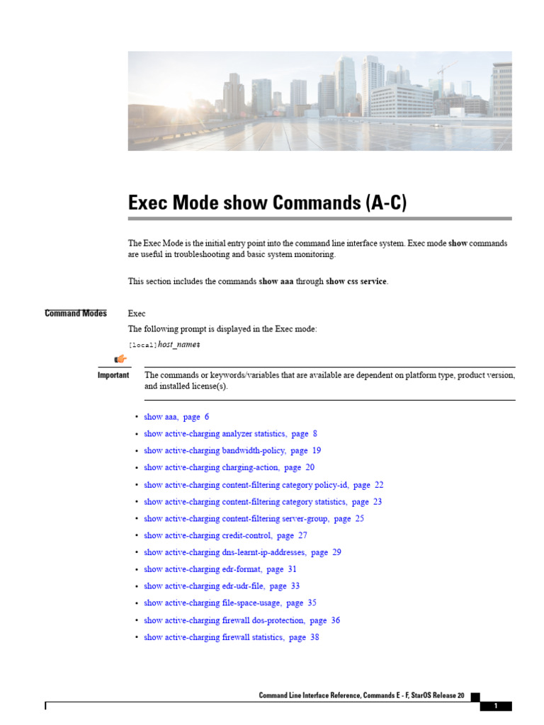 Exec Mode Commands Guide | PDF | Command Line Interface | Session Initiation Protocol