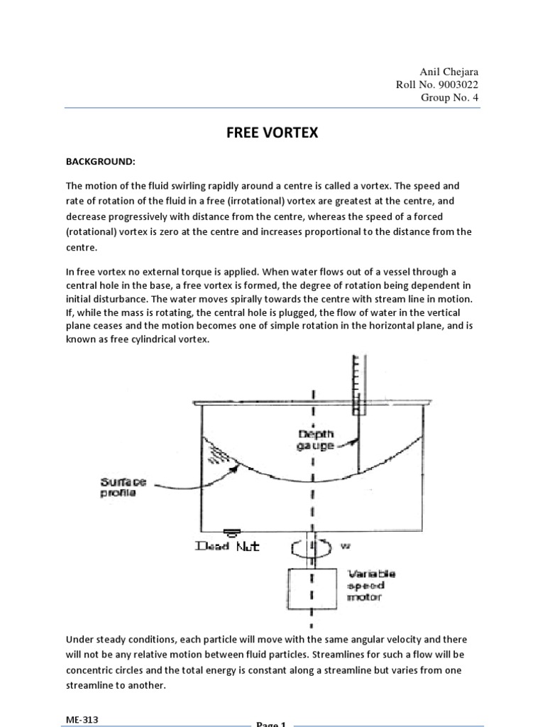 Free Vortex | PDF