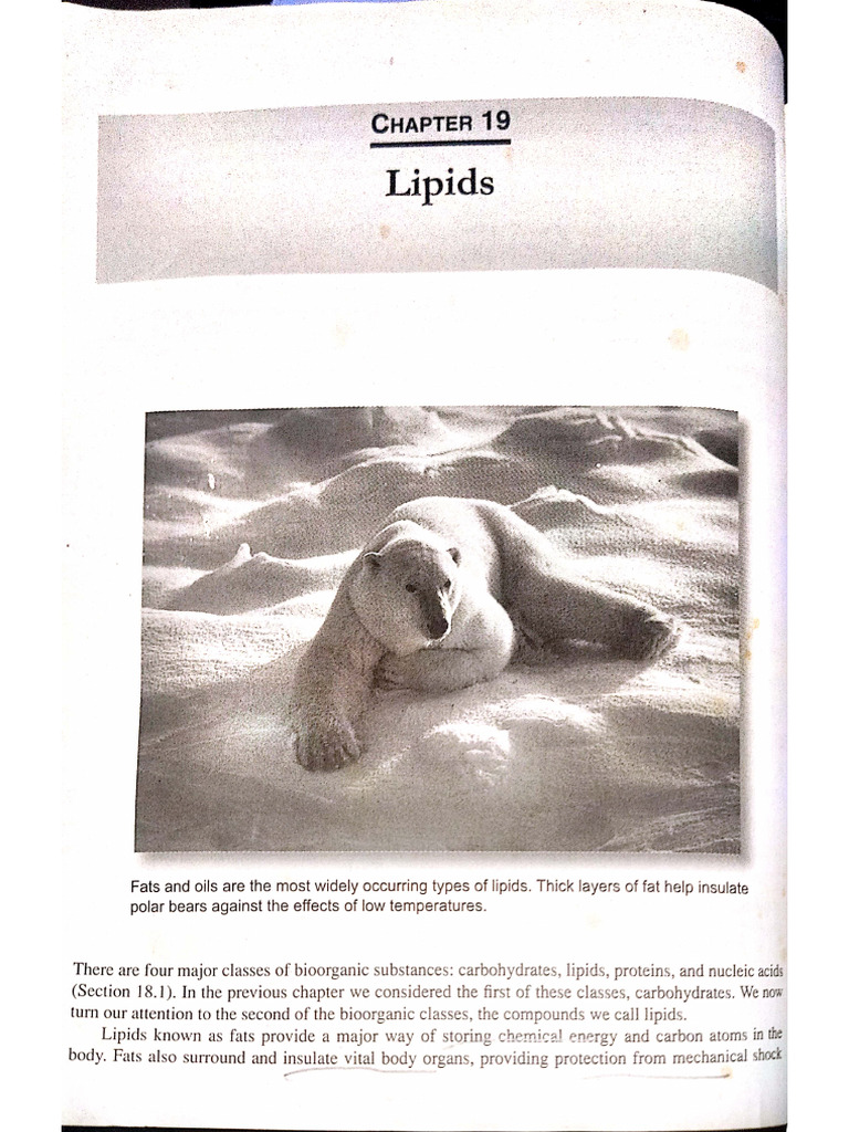 Lipid Exercises | PDF