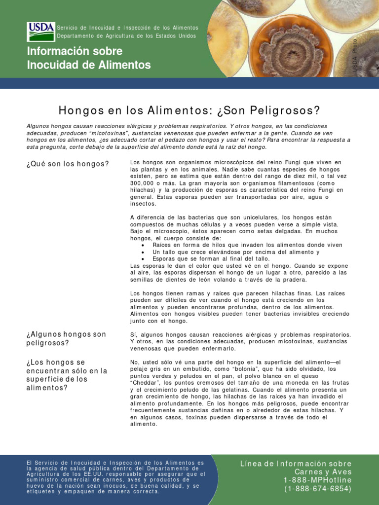 Hongos en Los Alimentos Son Peligrosos (Articulo) Autor Food Safety and ...