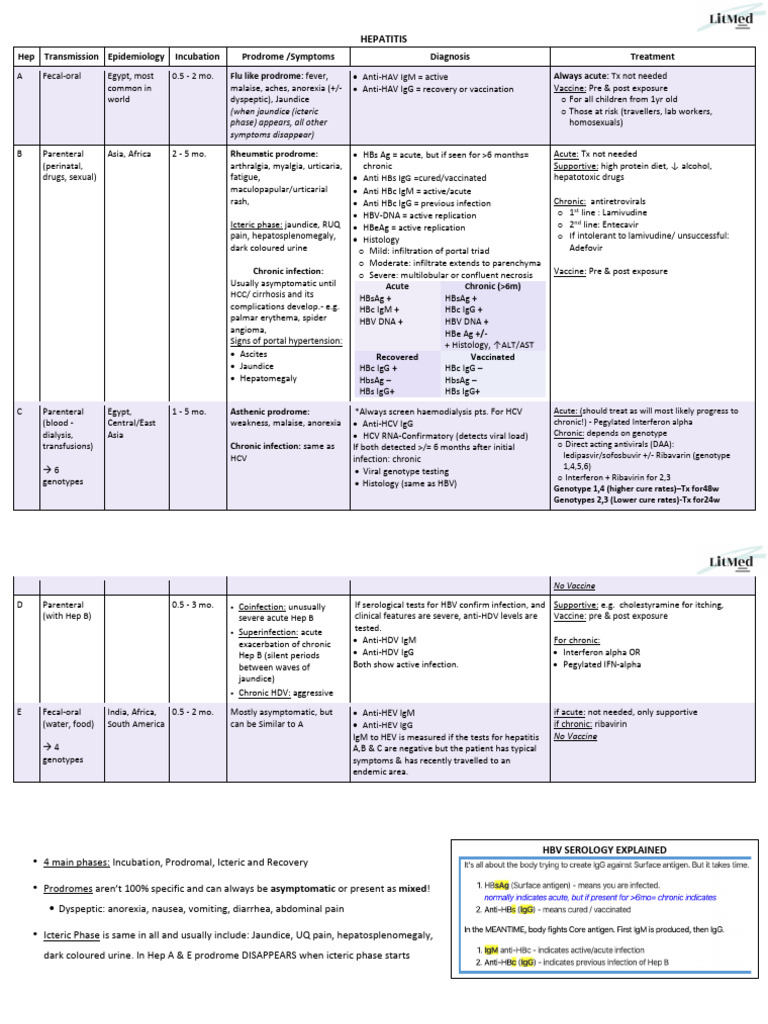 HEPATITIS | PDF | Hepatitis B | Hepatitis