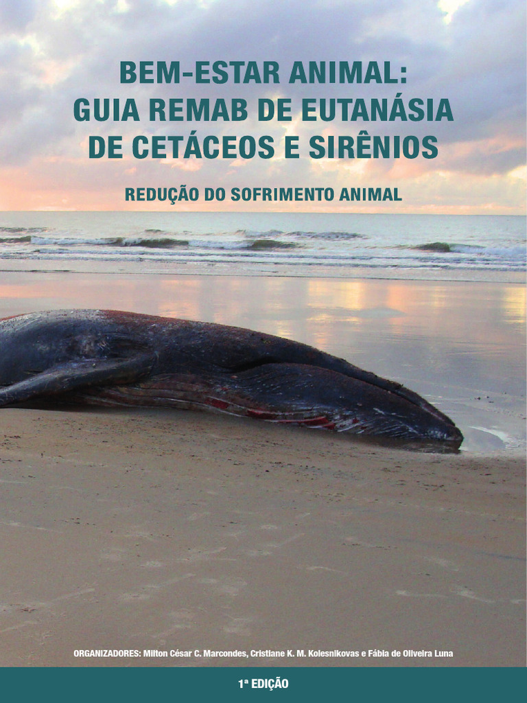 GUIA_REMAB_DE_EUTAN_SIA_DE_CET_CEOS_E_SIR_NIOS_1704899646 | PDF