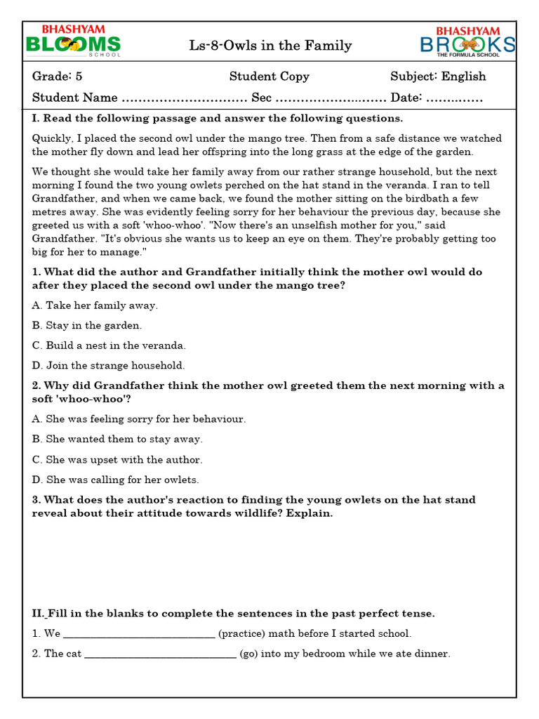 G5 - WS - Owls in The Family | PDF | Language Mechanics | Grammar