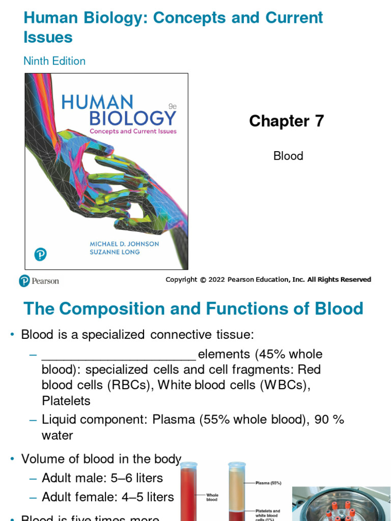 Chpt. 7 Blanks | PDF | Blood Type | Anemia