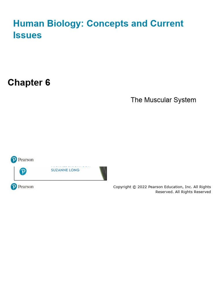 Chpt. 6 Blanks | PDF | Muscle Contraction | Skeletal Muscle