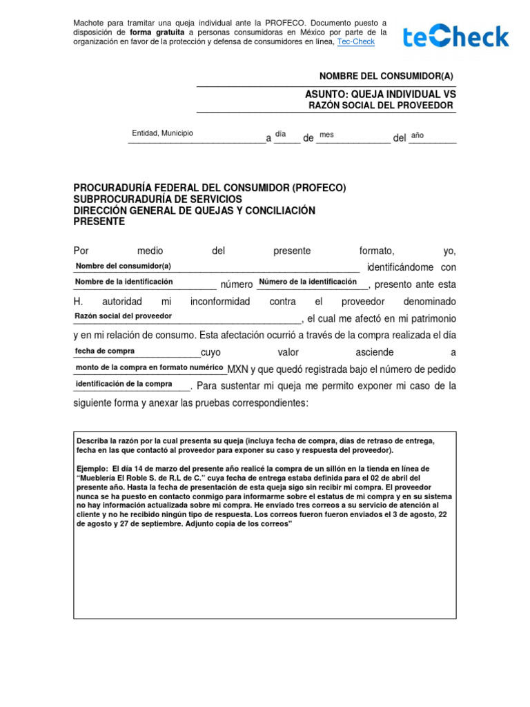 Tec-Check-Formato-pre-establecido-para-tu-queja-individual-ante-la ...