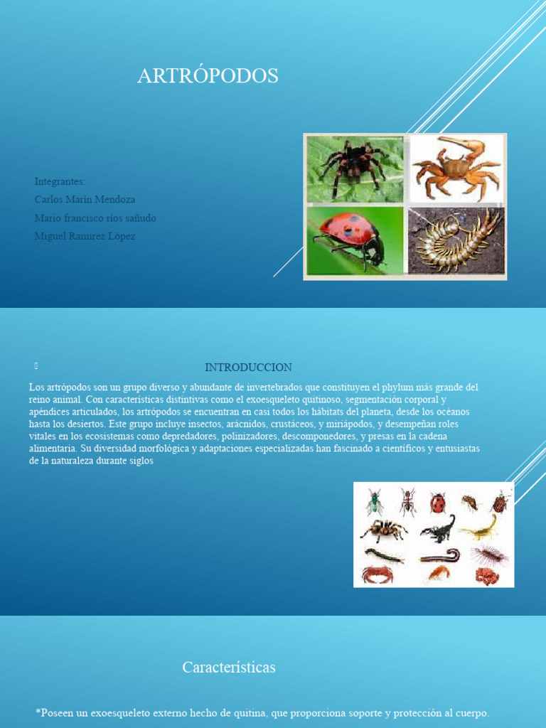 Características y diversidad de artrópodos | PDF | Biología