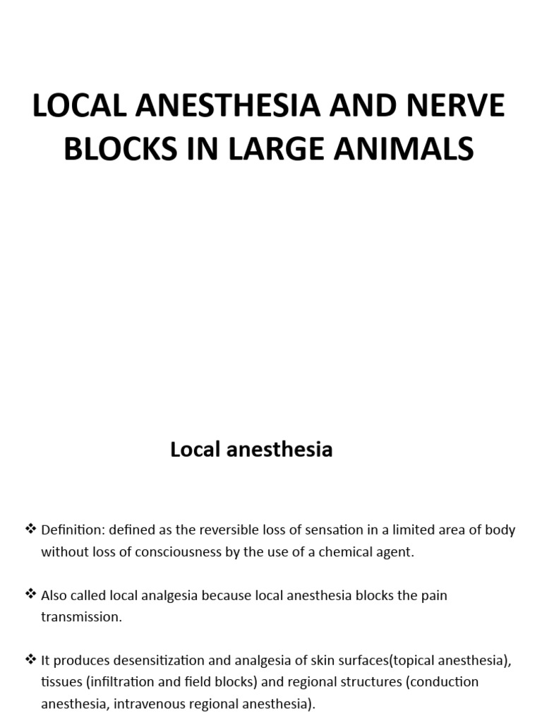 Local Anesthesia in Large Animals | PDF | Anesthesia