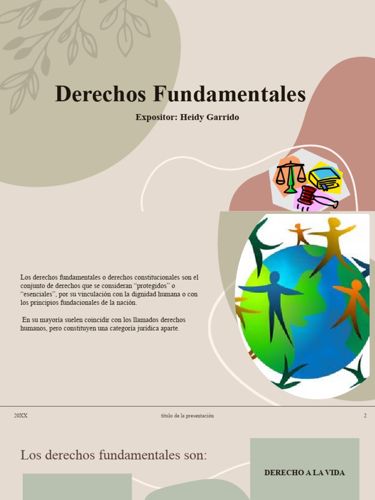 Derechos Fundamentales y Humanos | PDF | Política