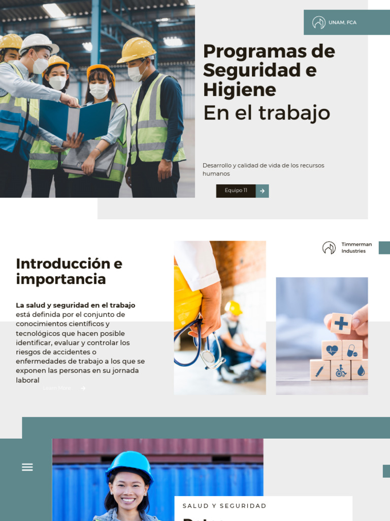 Programas de Seguridad e Higiene en El Trabajo | PDF | Factores humanos y ergonomía | Seguridad ...