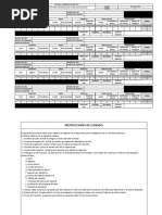 Instructivo de Reporte de Defectos | PDF