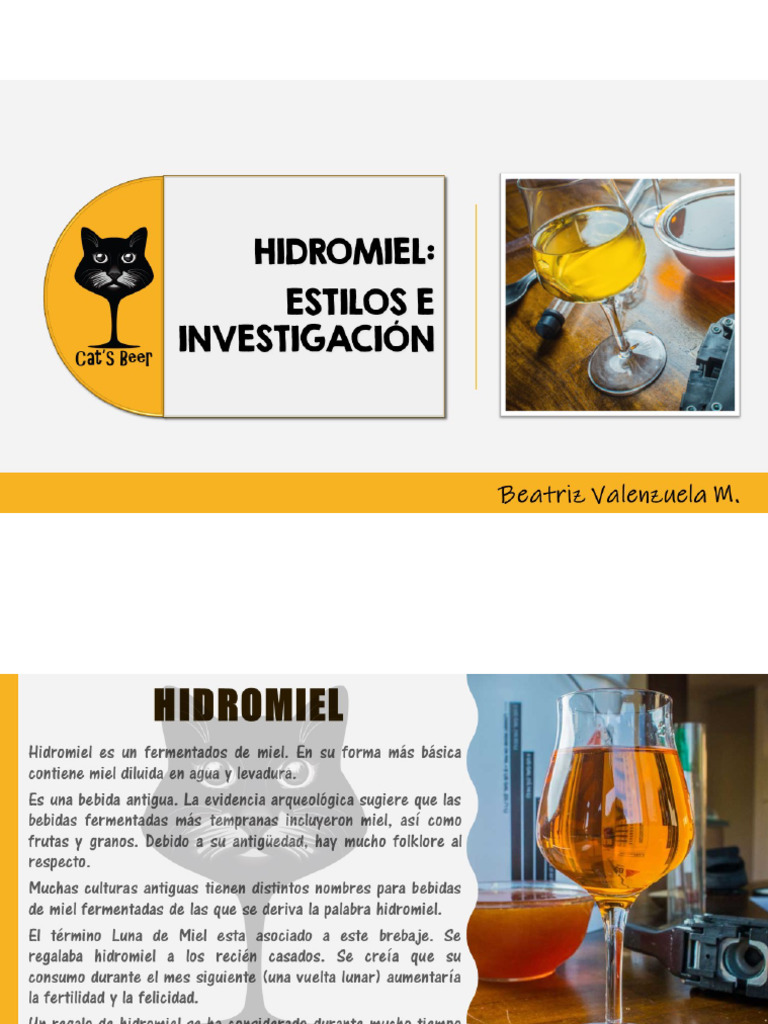 Hidromiel Estilos e Investigacion - Instituto Milenio (4542) | PDF