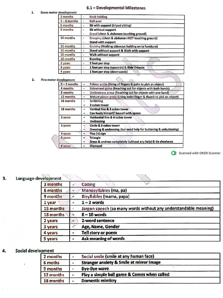 Developmental Milestones | PDF