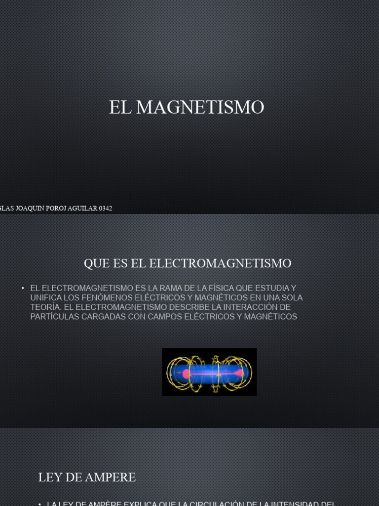 El Magnetismo | PDF