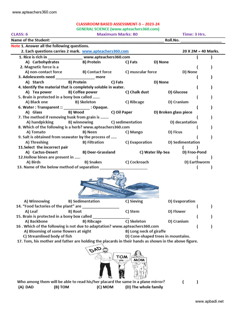 6th Science CBA-3 (2023-24) | PDF