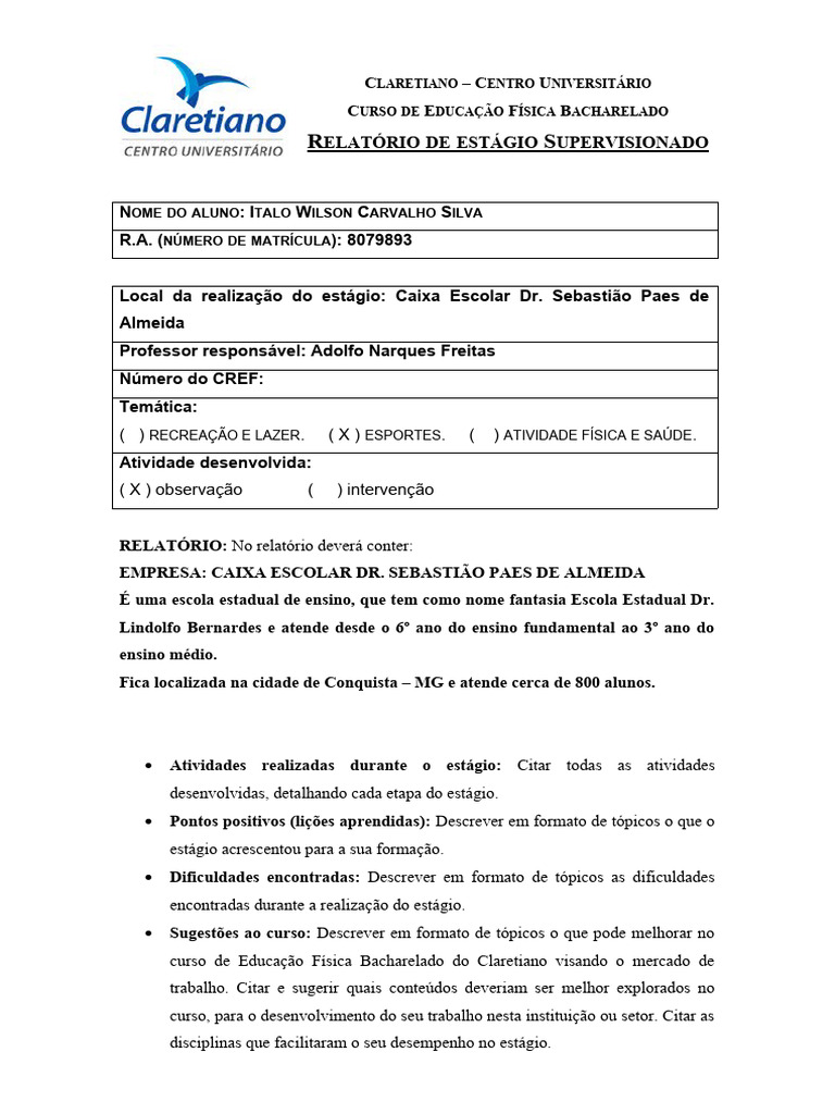 Modelo de Relatório para Preenchimento | PDF