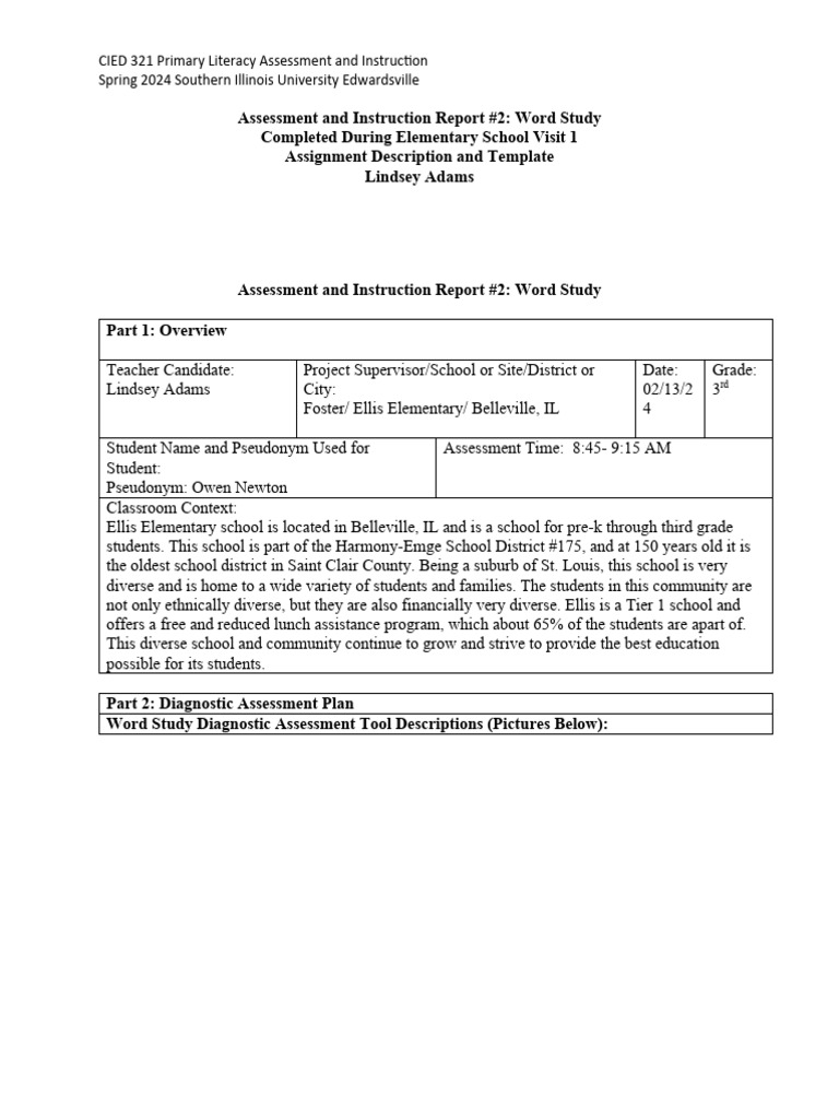 Assessment Report 2 Ellis | PDF | Applied Linguistics | Cognitive Science
