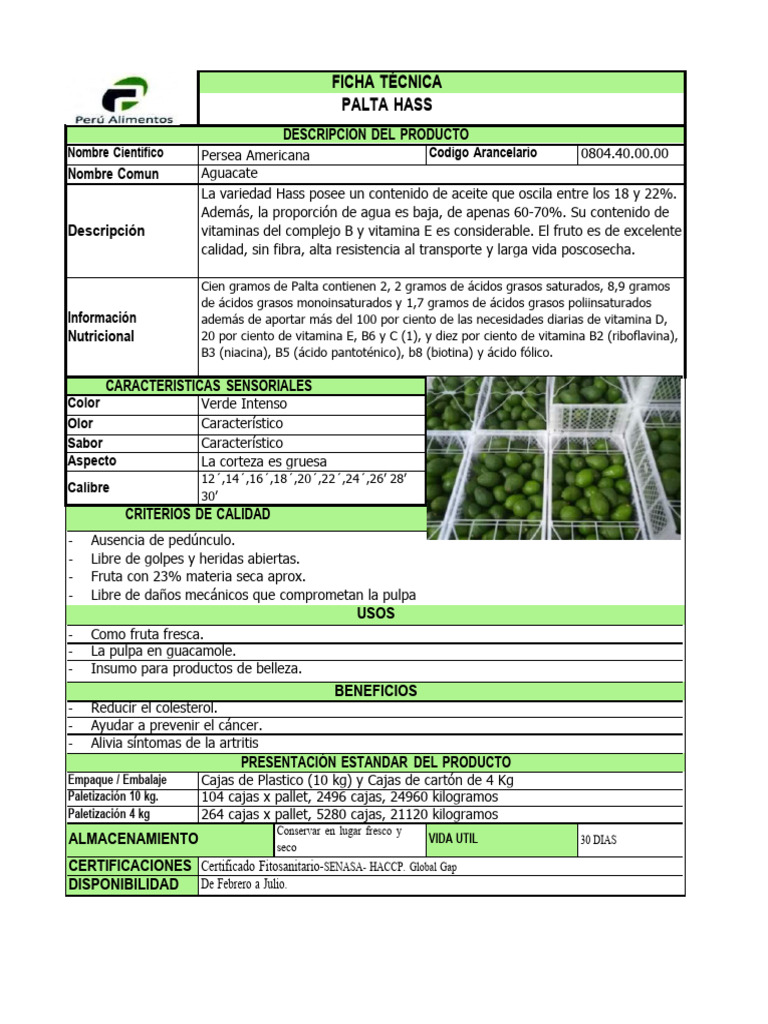 Ficha Técnica del Aguacate Hass | PDF | Aguacate | Vitamina