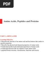 Amino Acids Classification Chart | PDF