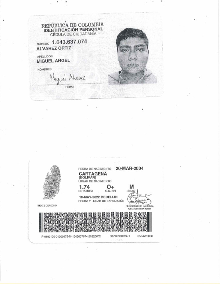 Cédula Miguel Alvarez | PDF