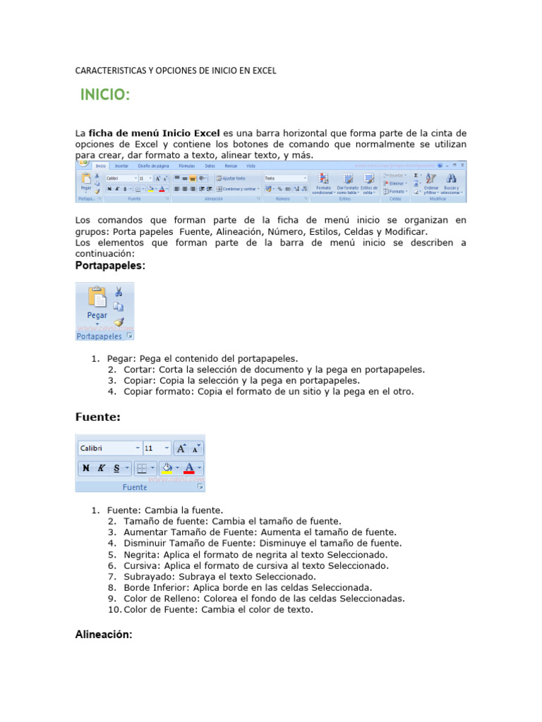 Caracteristicas y Opciones de Inicio en Excel | PDF