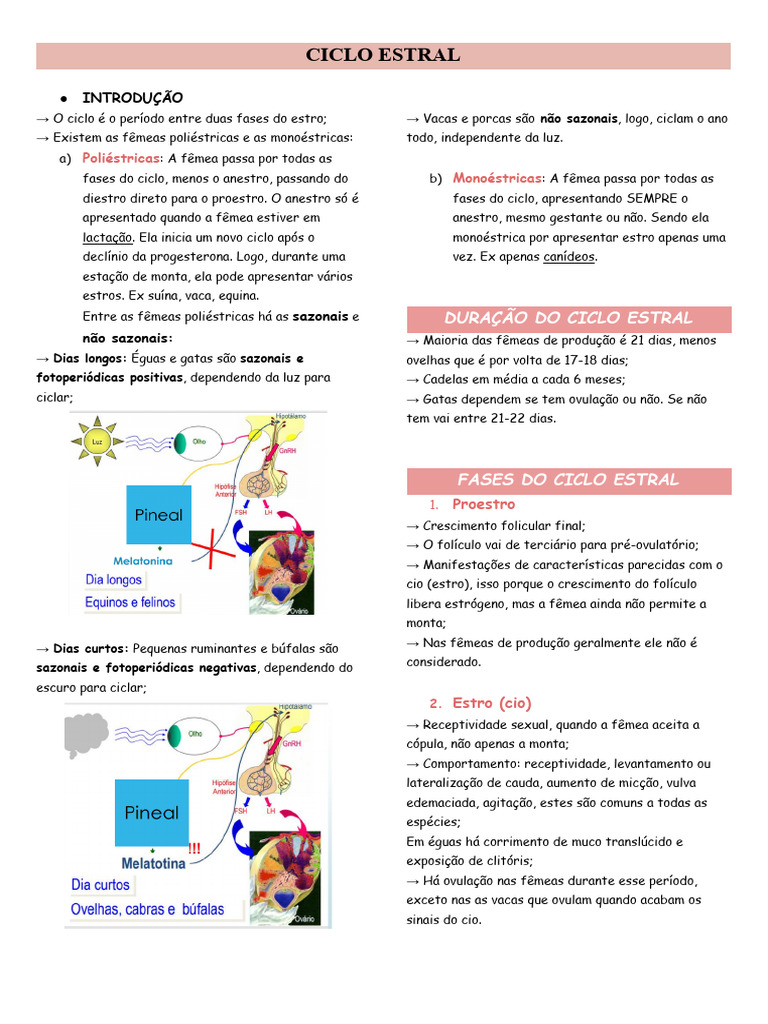 Ciclo Estral | PDF | Hormônio luteinizante | Ciclo menstrual