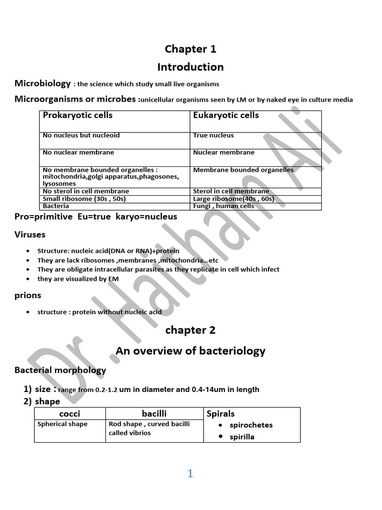 Chapter 1,2,3 Micro Paper | Download Free PDF | Cellular Respiration | Bacteria