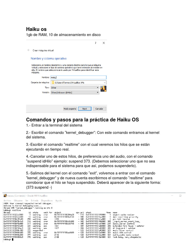 Comandos Esenciales para Haiku OS | PDF
