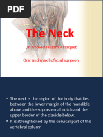 External Vs Internal Jugular Vein | PDF | Vein | Human Anatomy