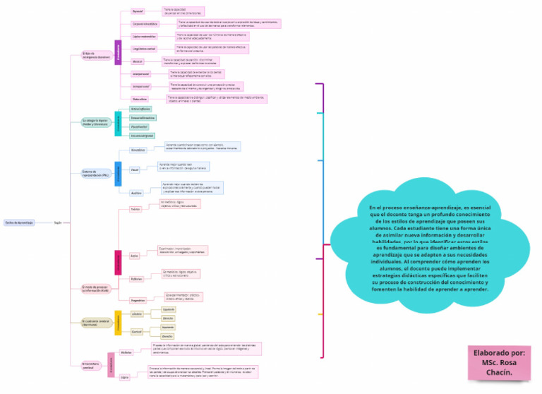 Mapa Conceptual DIEP | PDF
