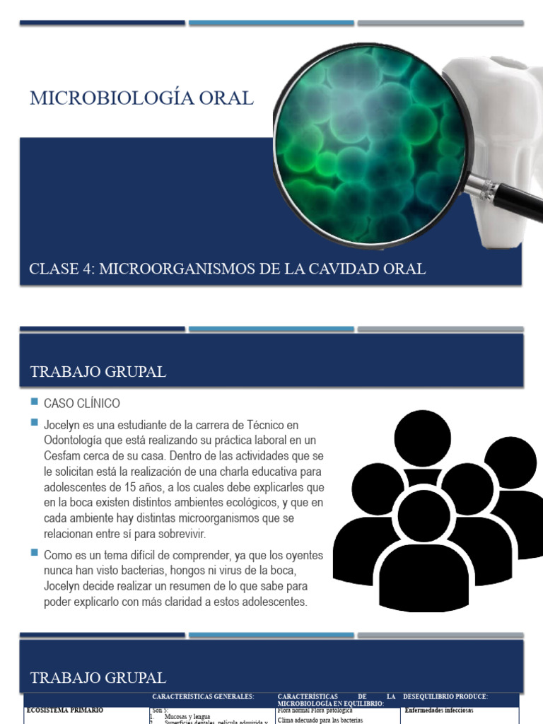 CLASE 4 Micro 2024 | PDF | Hongo | Biología Celular)