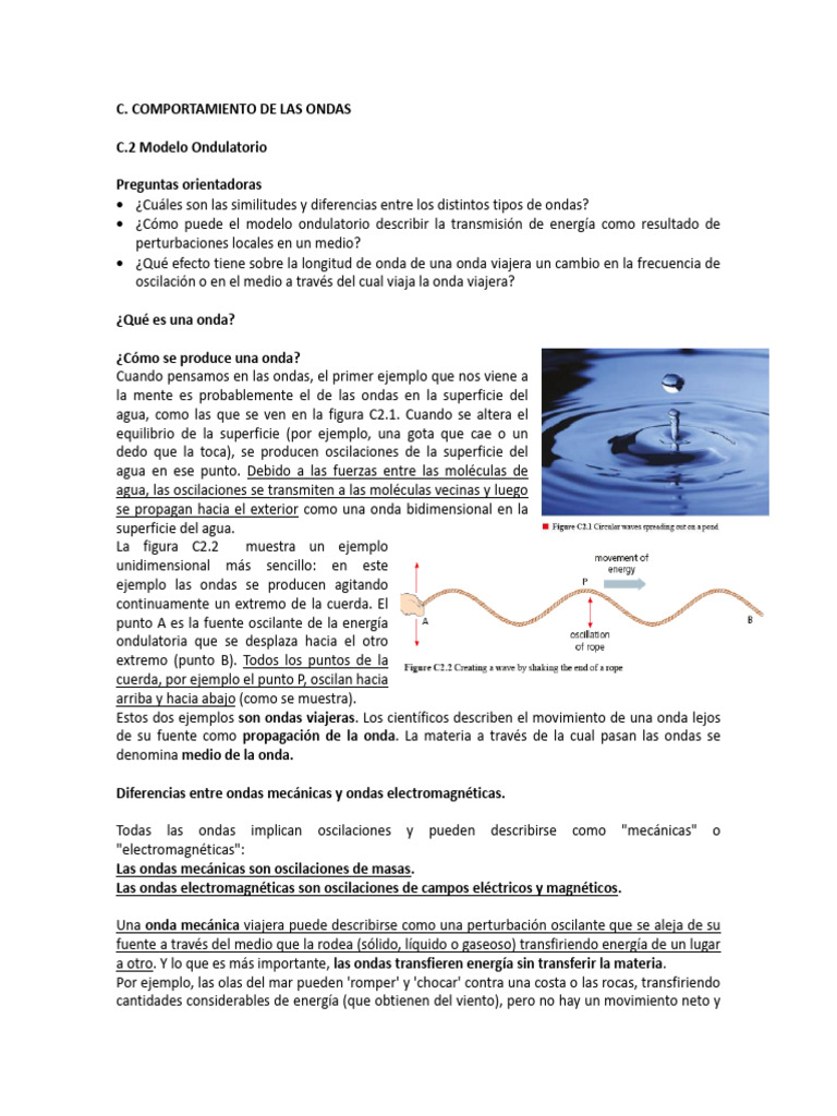 Resumen Modelo Ondulatorio | Descargar gratis PDF | Olas | Sonido