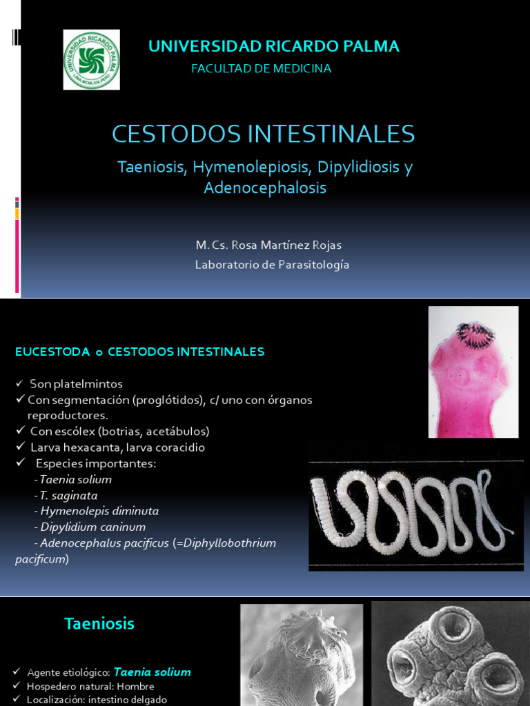 Clase 04 - Céstodos Intestinales | PDF | Especialidades Medicas ...