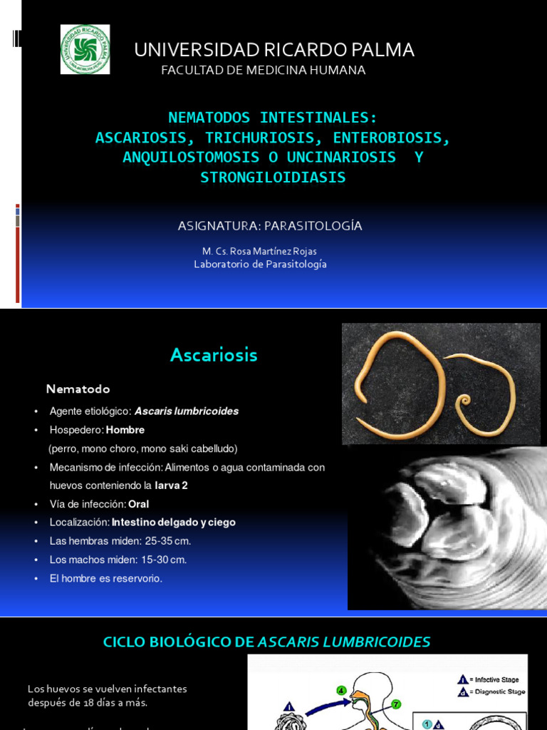 Clase 03 - Nemátodos Intestinales | PDF | Especialidades Medicas ...