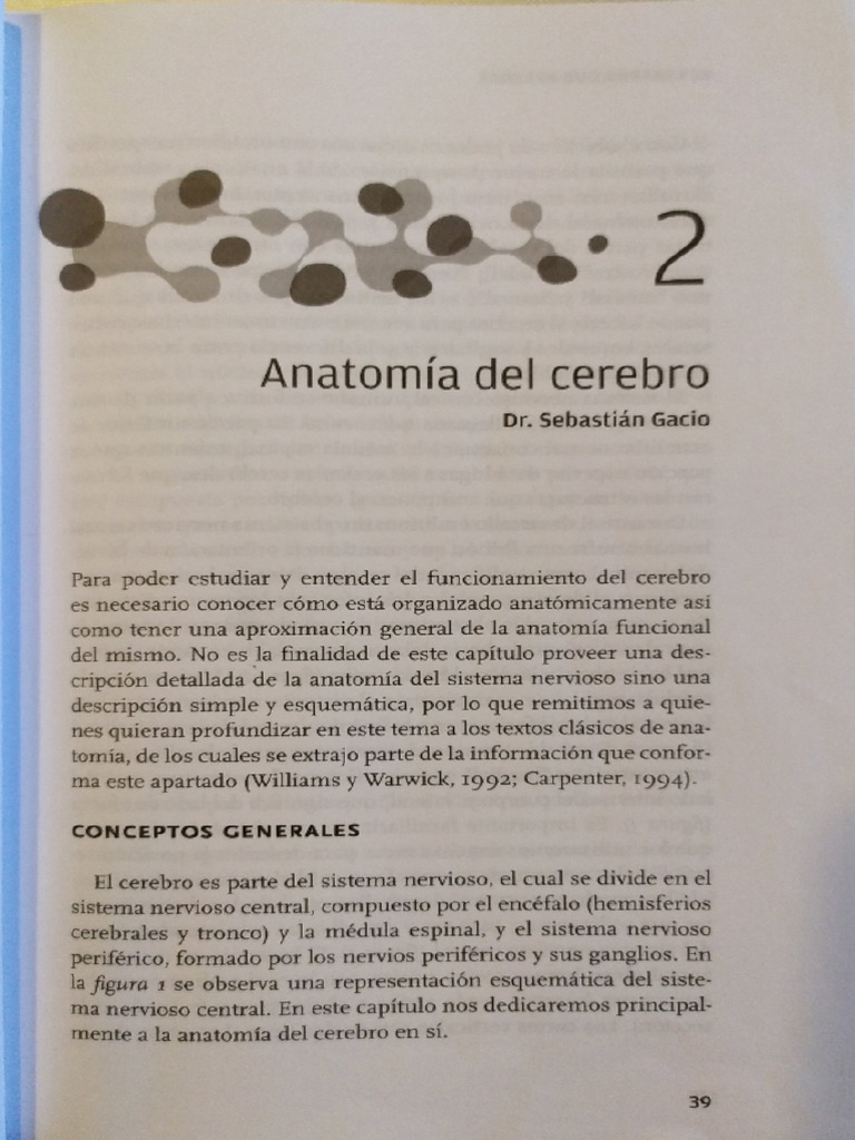 El Cerebro Que Aprende - Cap 02 | PDF