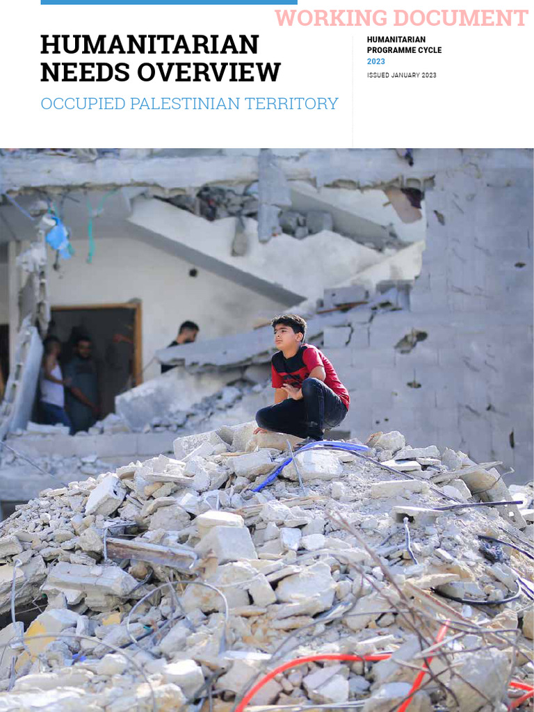 Humanitarian Needs Review 2024 | PDF | West Bank | Humanitarian Aid