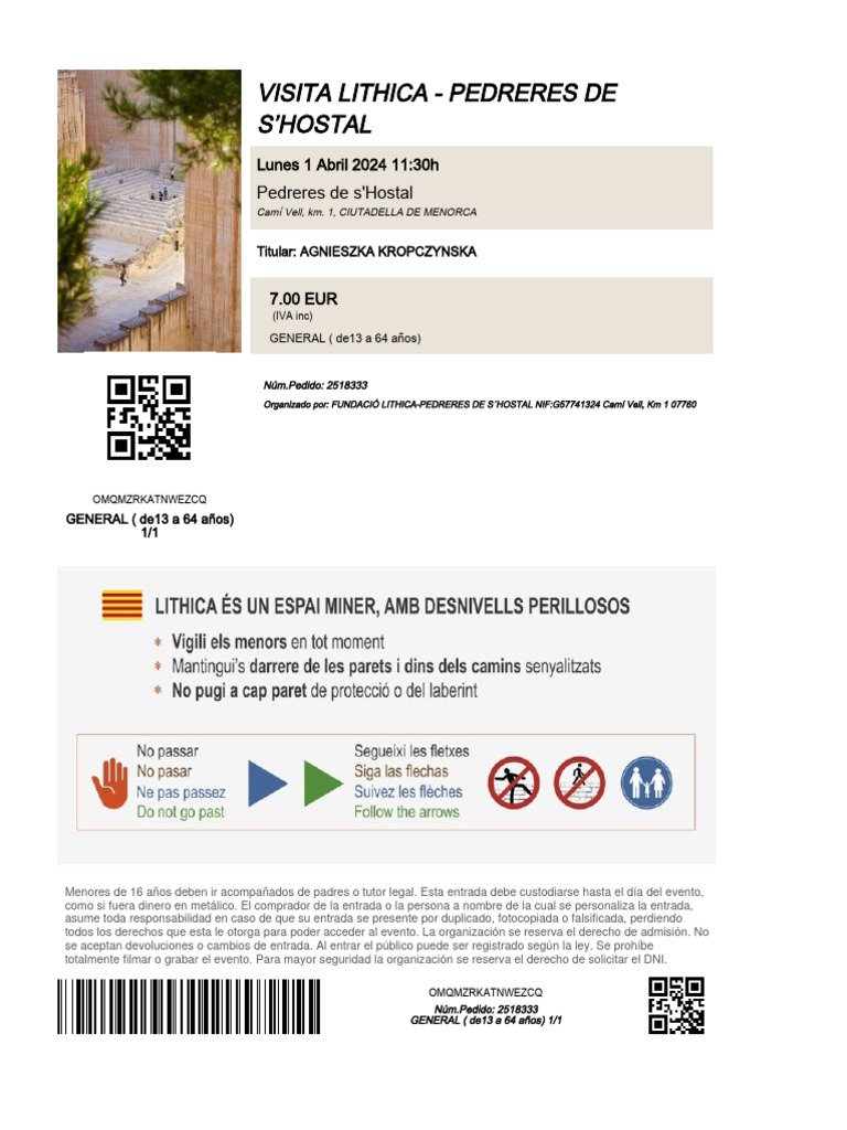 Reglas de Entrada a Lithica | PDF