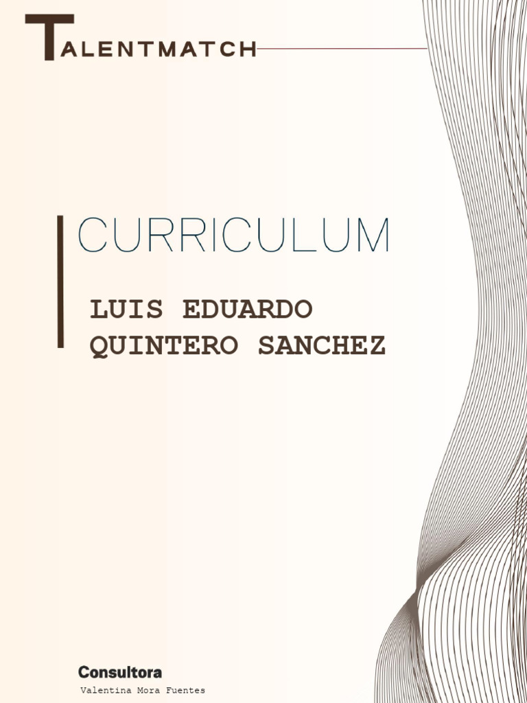 CV Luis Quintero_2024 (1) (1) | PDF | Business | Economias