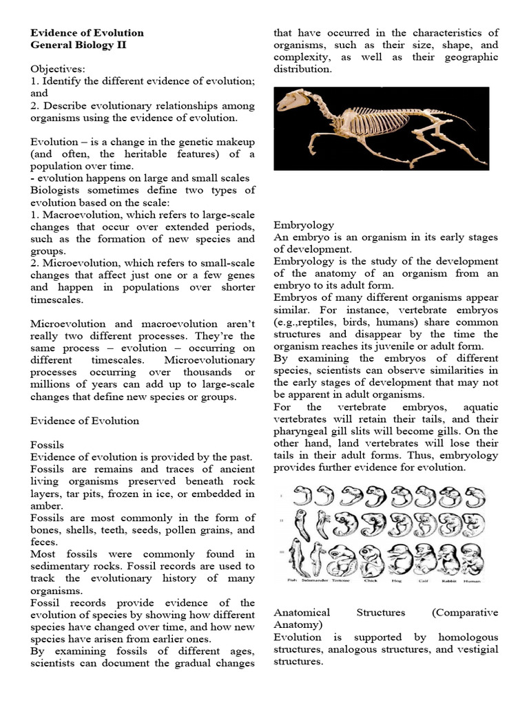 Evidence of Evolution | PDF | Evolution | Fossil