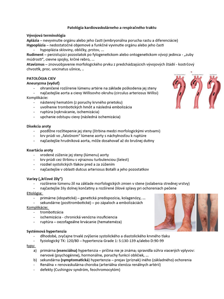 Patologia Kardiovaskulárna + Dýchacia S. | PDF
