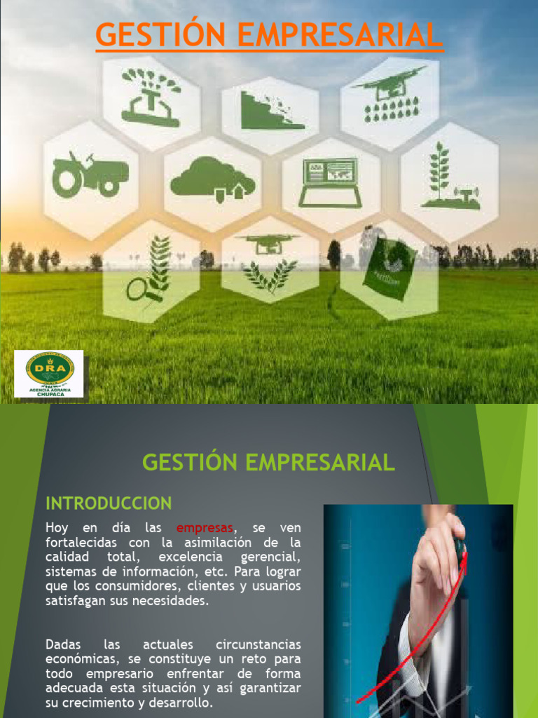 Gestion Empresarial | Descargar gratis PDF | Business | Negocios económicos