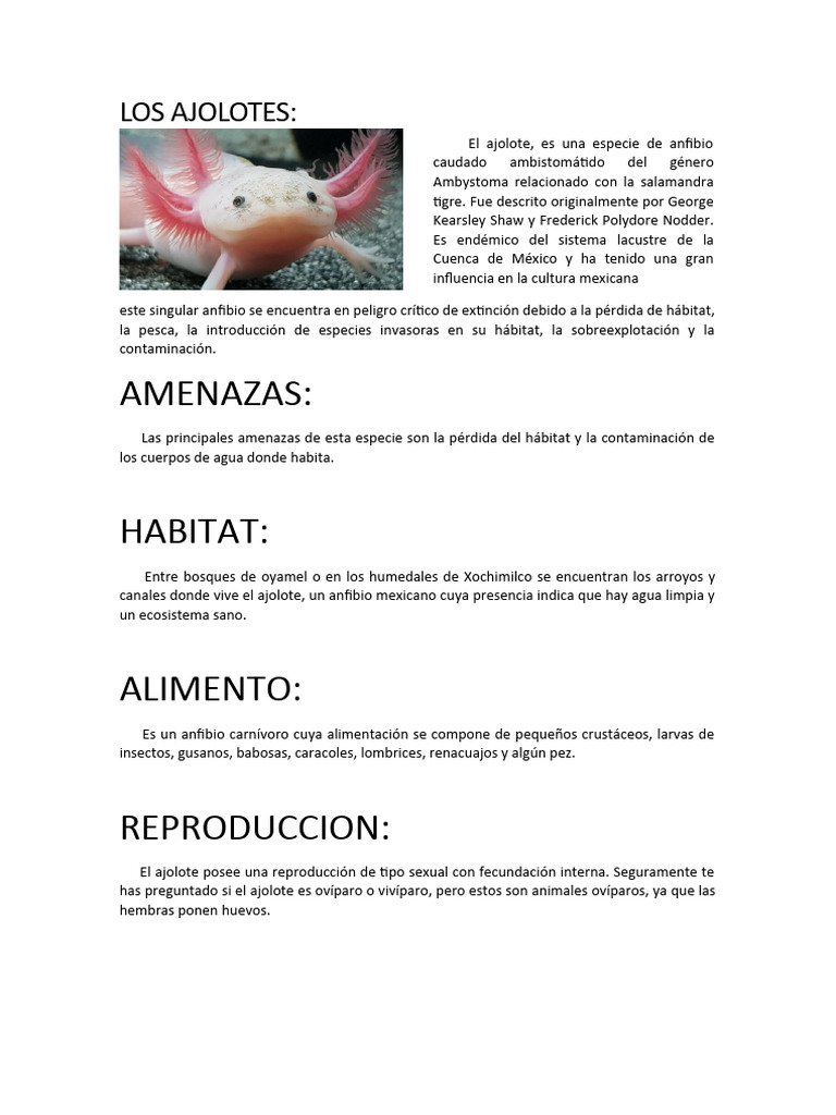 Los Ajolotes | PDF | Entorno natural | Conservación del medio ambiente