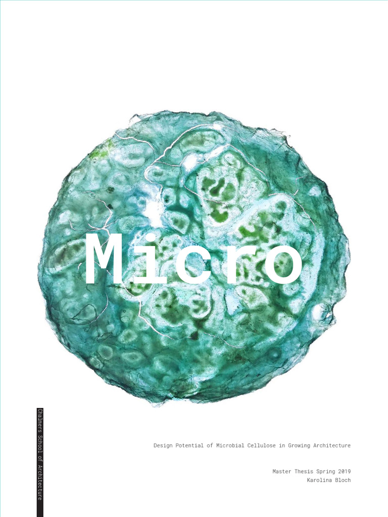 Micro: Design Potential of Microbial Cellulose in Growing Architecture | Download Free PDF ...
