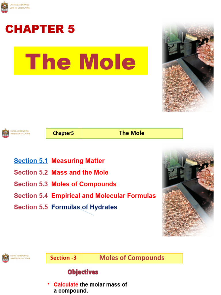 Chemistry: Understanding Moles | PDF | Mole (Unit) | Chemical Compounds