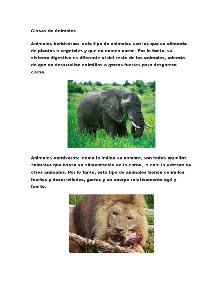 Clases de Animales | PDF