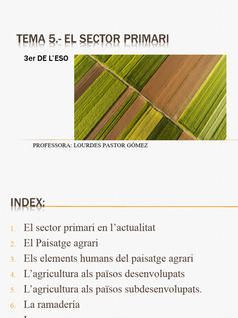 El Sector Primari | PDF