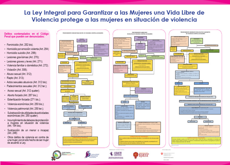 Flujograma Ley 348 | PDF | La violencia contra las mujeres | Fiscal