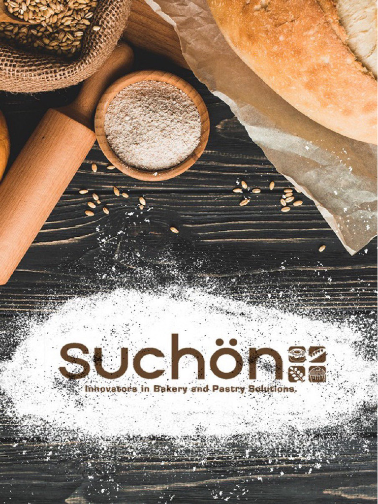 Suchon - MSFS Product List | PDF
